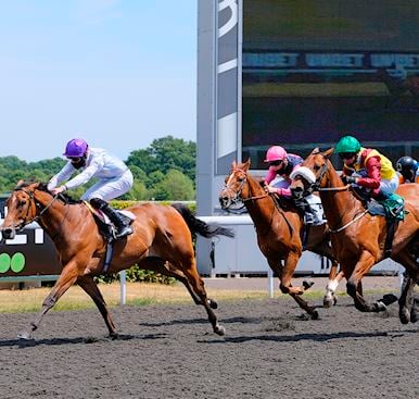 Kempton Park | Wyldecrest Events